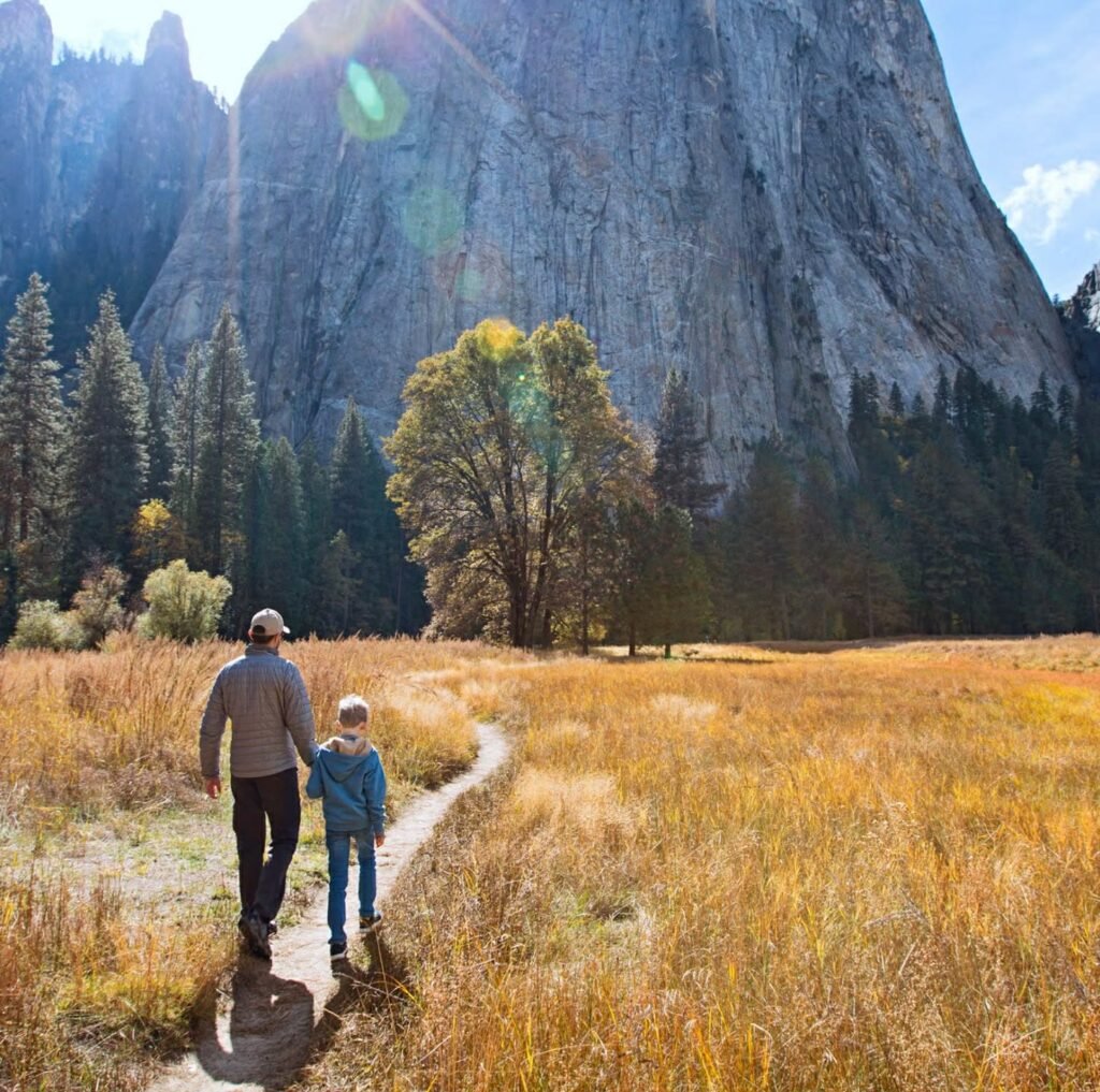 Horizon Family Solutions